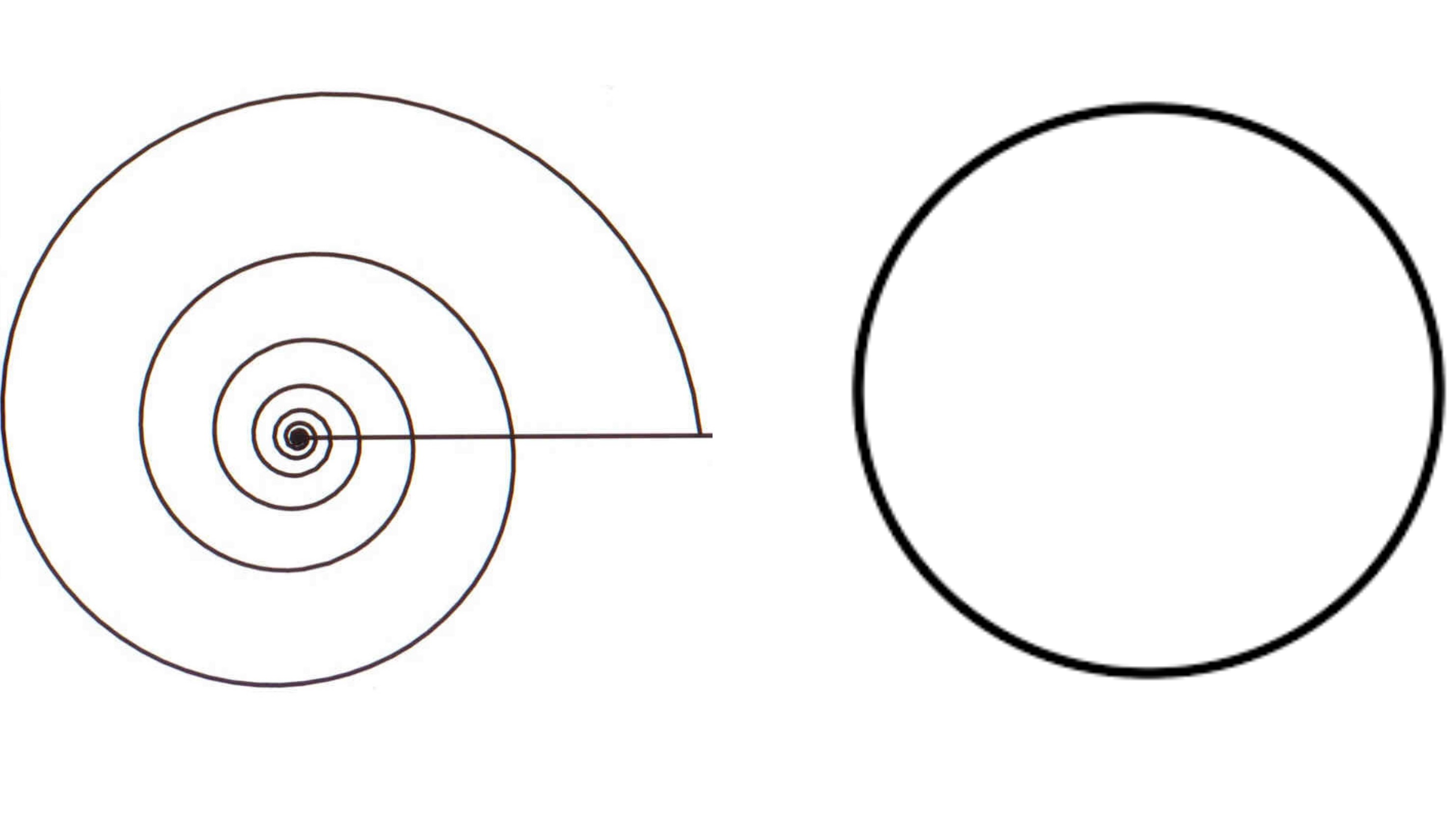 Rotation & Circular Motion | Our Moon Life